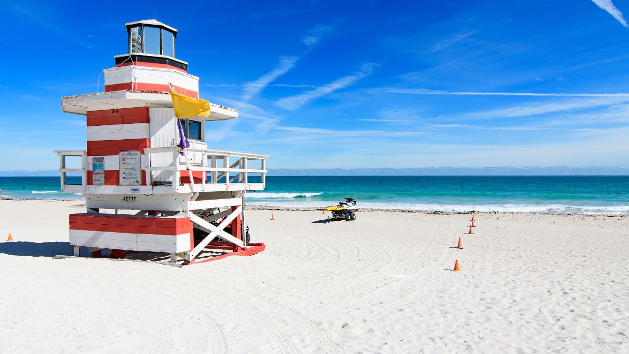 Guía Imperdible: Cosas que Hacer en Miami - Armando Miami